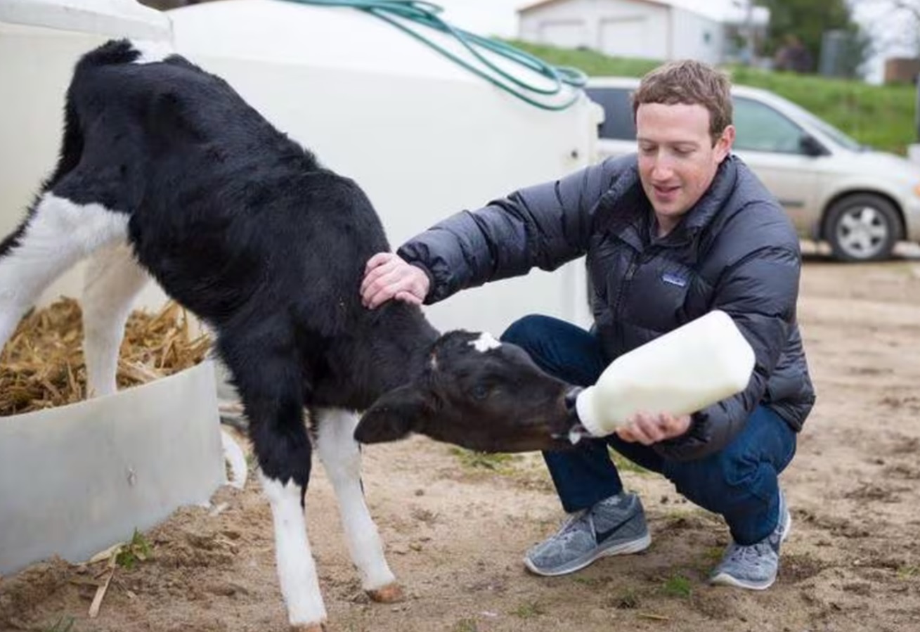 Mark Zuckerberg Crea Vacas Con Nueces De Macadamia Y Cerveza